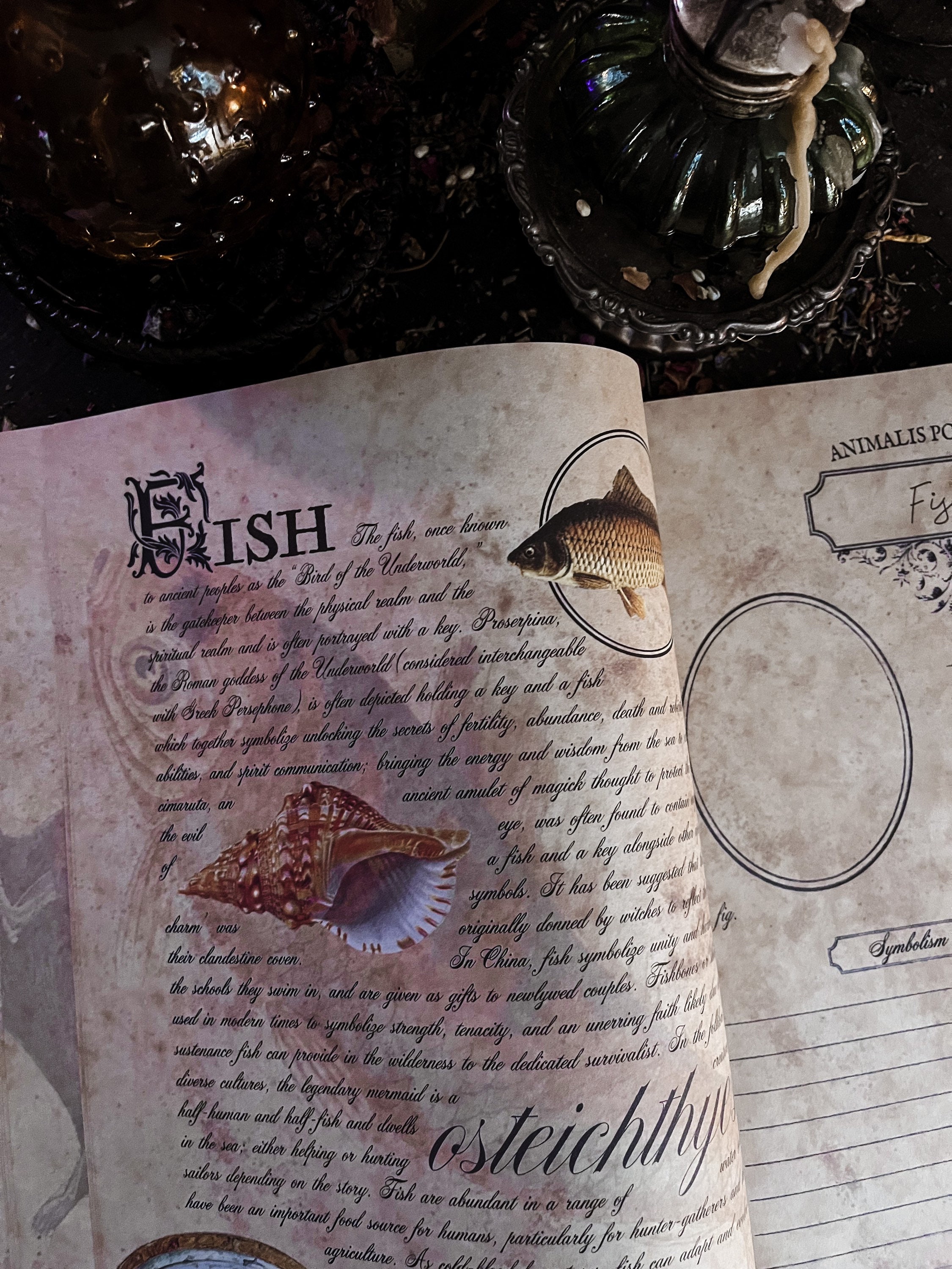 FISH Grimoire Page ~ Printable PDF Digital Download for Familiars ...