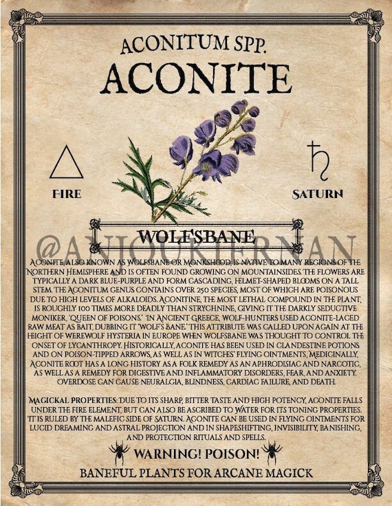 ACONITE Grimoire Page Printable PDF Wolfsbane Digital - Etsy