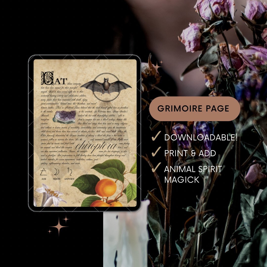 BAT Grimoire Page ~ Printable PDF Digital Download for Familiars ...