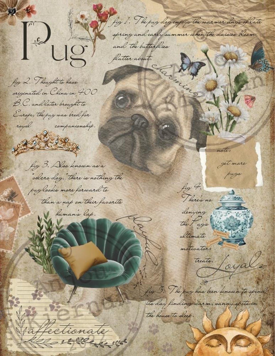 Vintage PUG Scrapbook Page PDF| Bohemian Botanical Dog Art | Printable ...