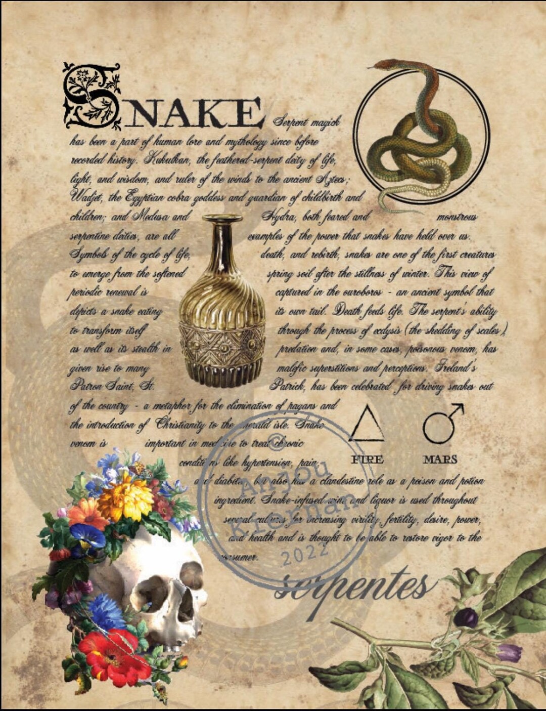 SNAKE Grimoire Page ~ Printable PDF Digital Download for Familiars ...