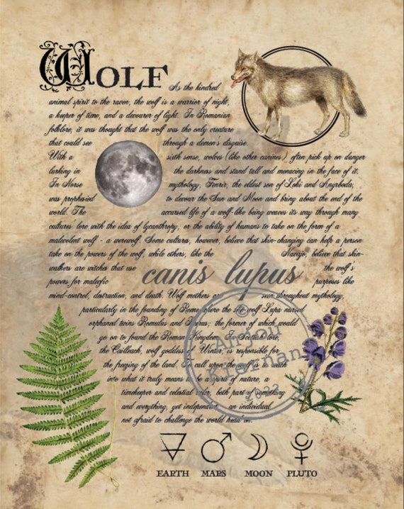 Zodiac wolves pdf 60 photos - Astrologytoyou.com