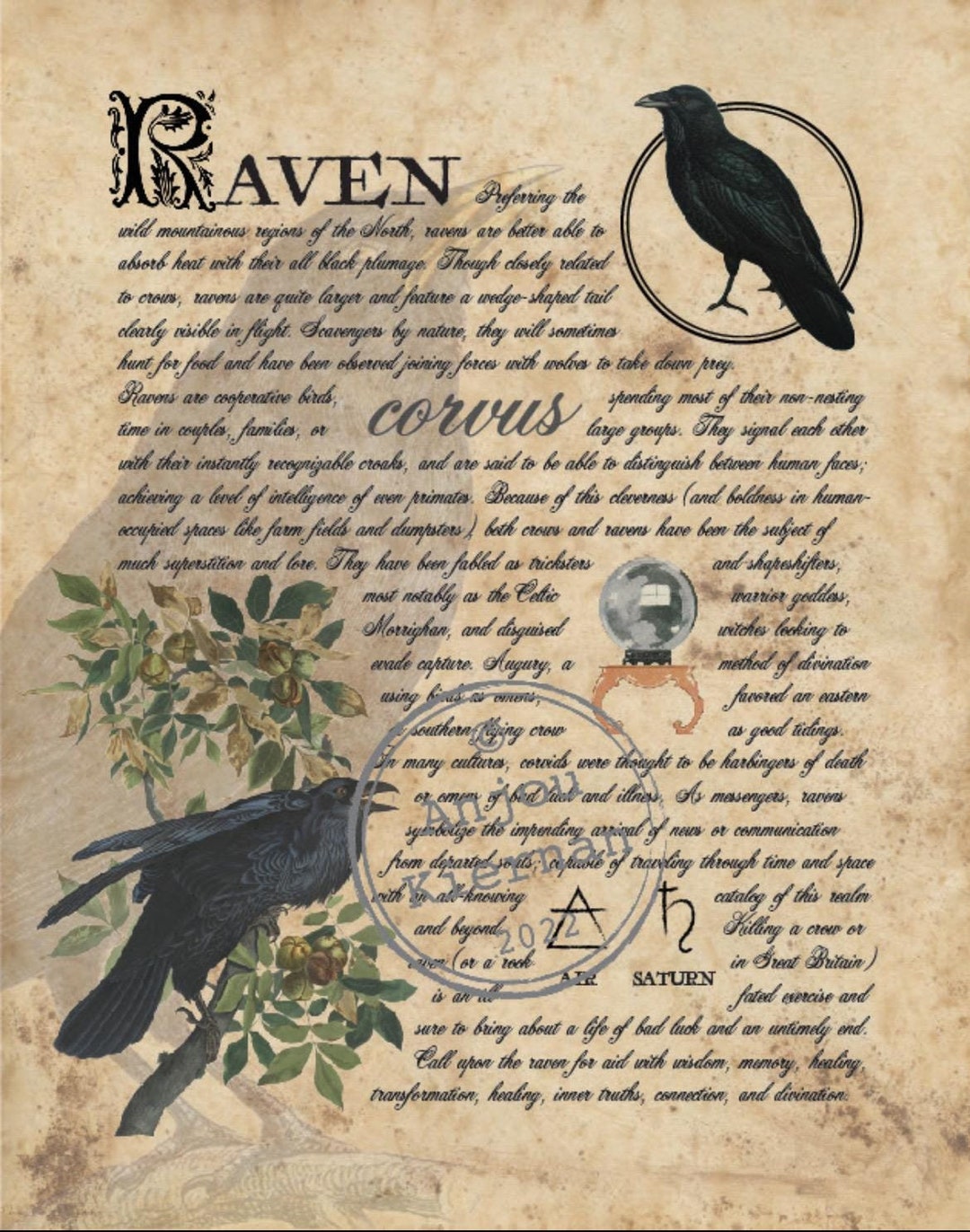 RAVEN Grimoire Page ~ Printable PDF Digital Download for Familiars ...