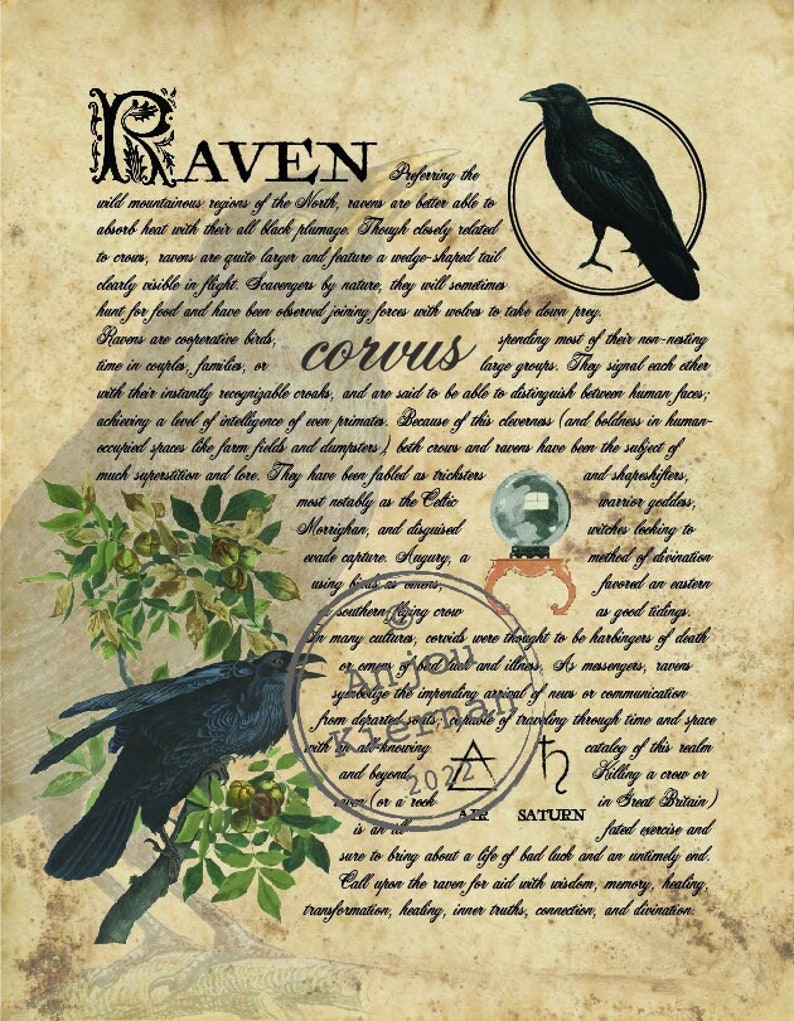 RAVEN Grimoire Page Printable PDF Digital Download for Familiars Animal ...