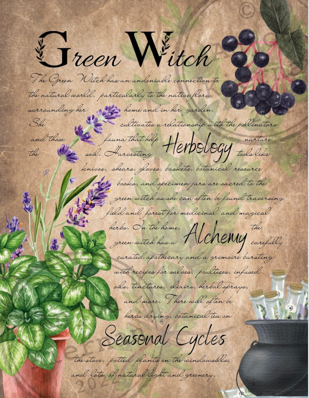 GREEN WITCH Grimoire Page ~ Printable PDF Digital Download for Herbal ...