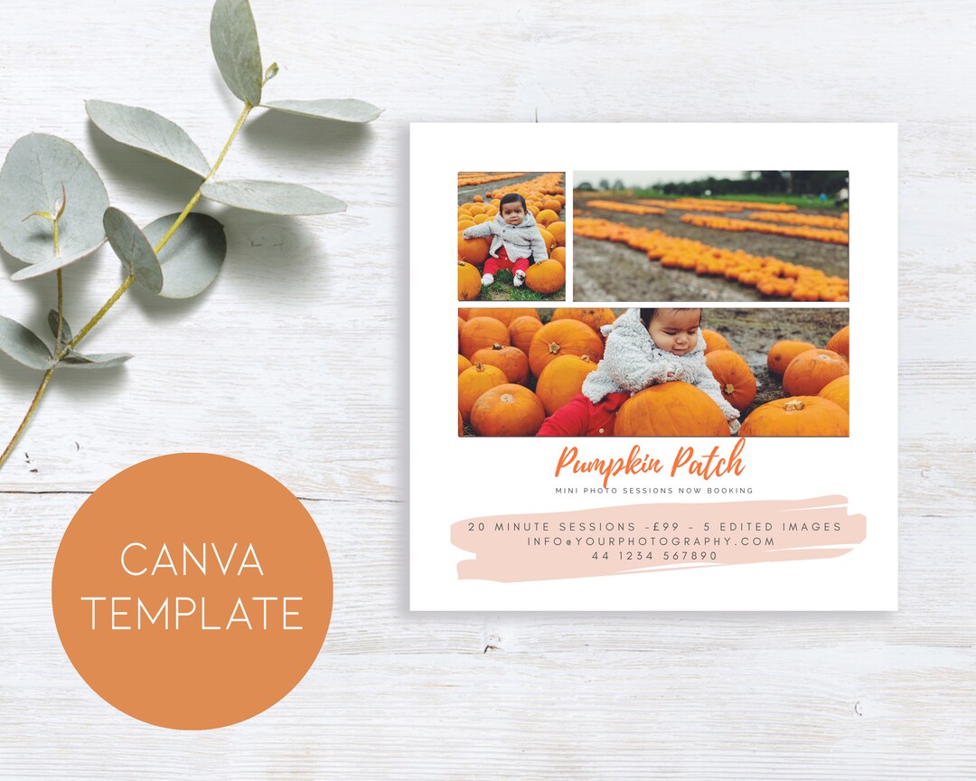 Pumpkin Patch Mini Session Template,fall Mini Session Template,autumn Mini Session Template ...
