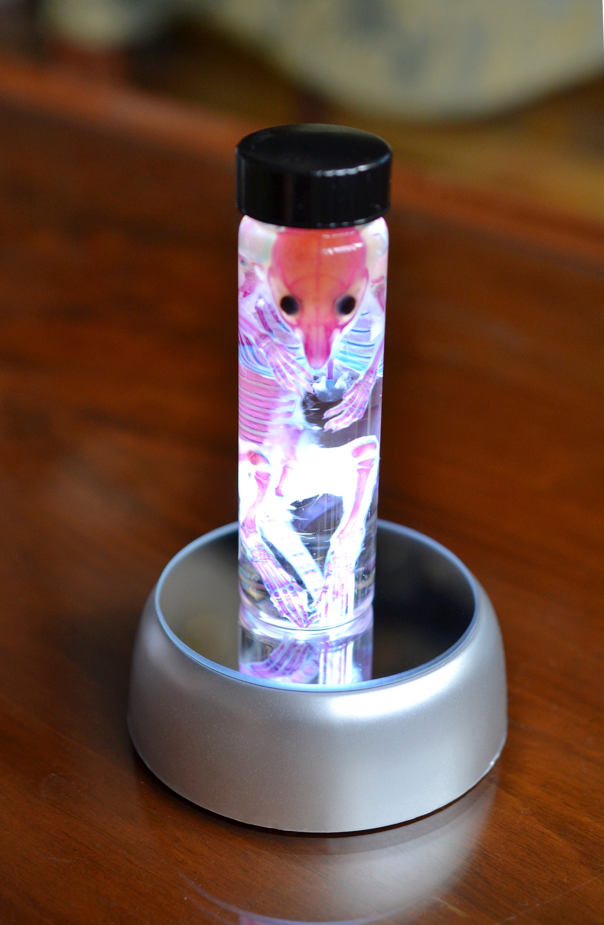 Mirrored Display Light Base for Nighttime Nicholas - Etsy