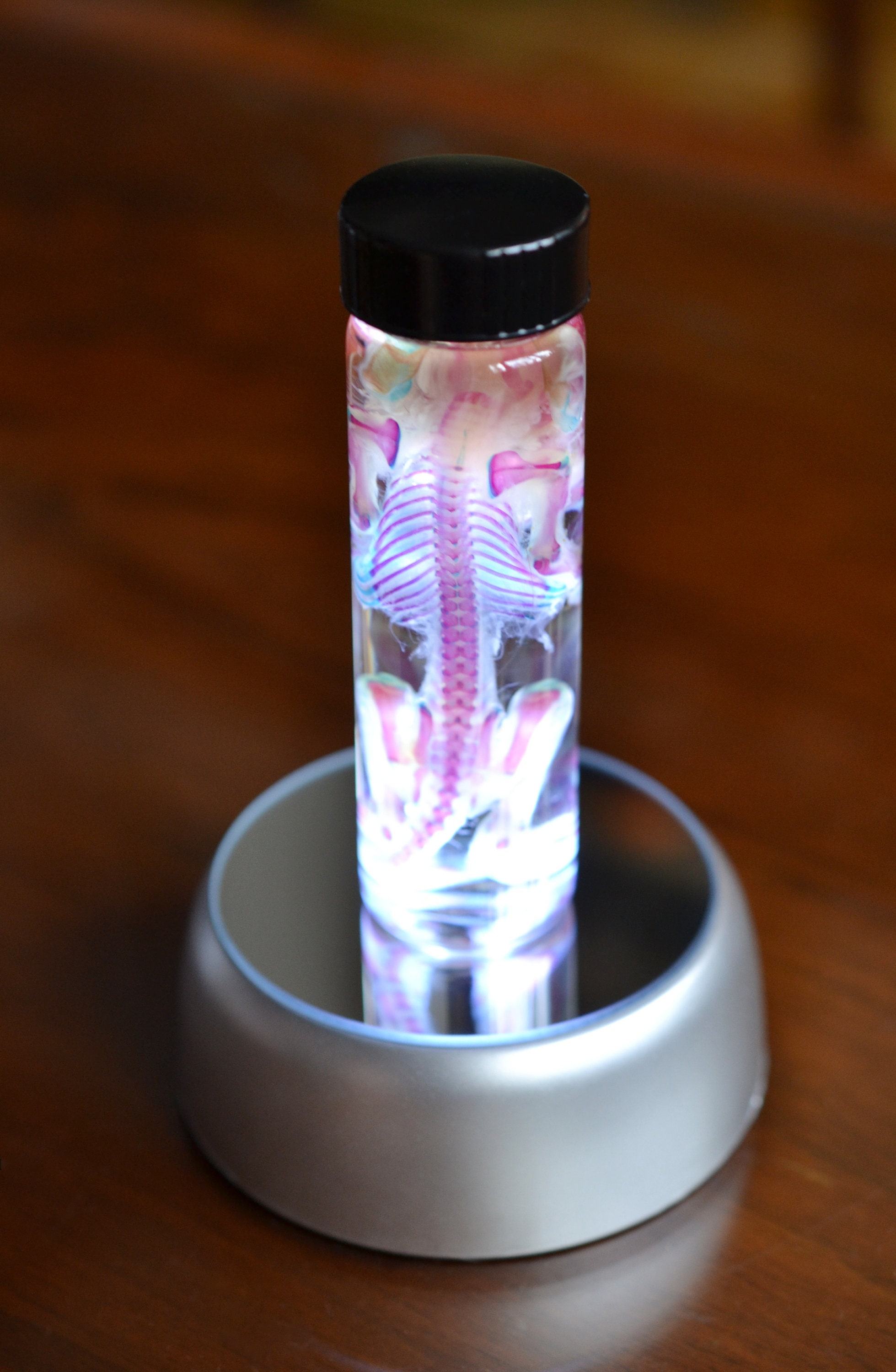 Mirrored Display Light Base for Nighttime Nicholas - Etsy