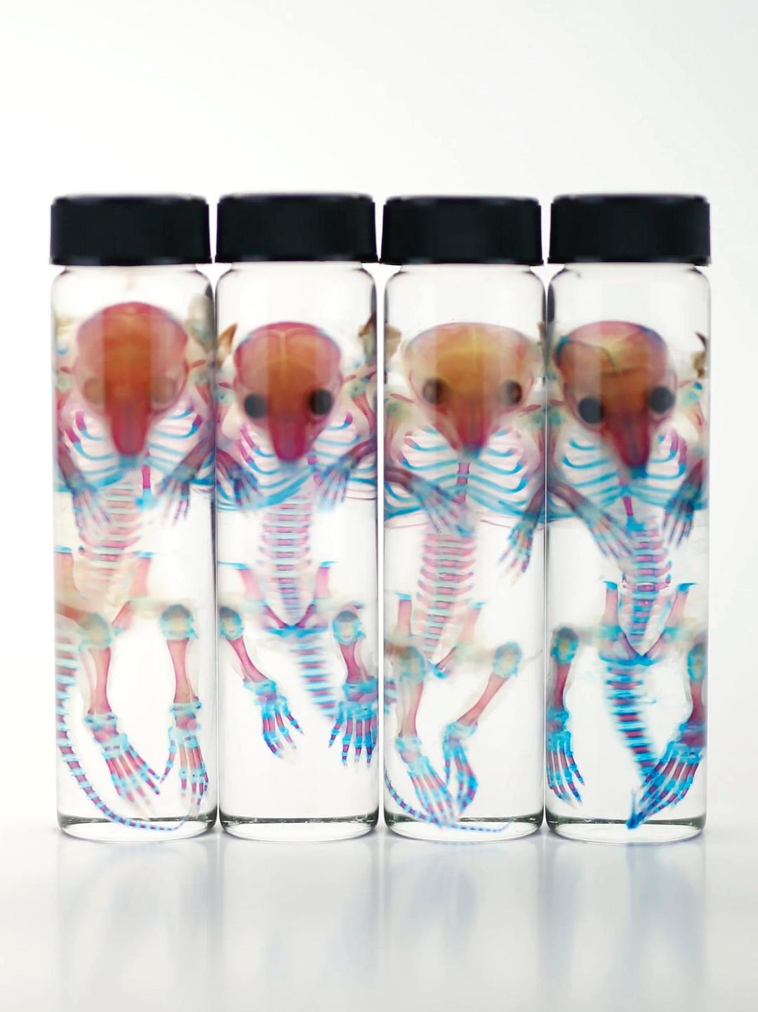 Soft Blue Double Stained Rats in Wide Extra Tall Vial by Nighttime ...