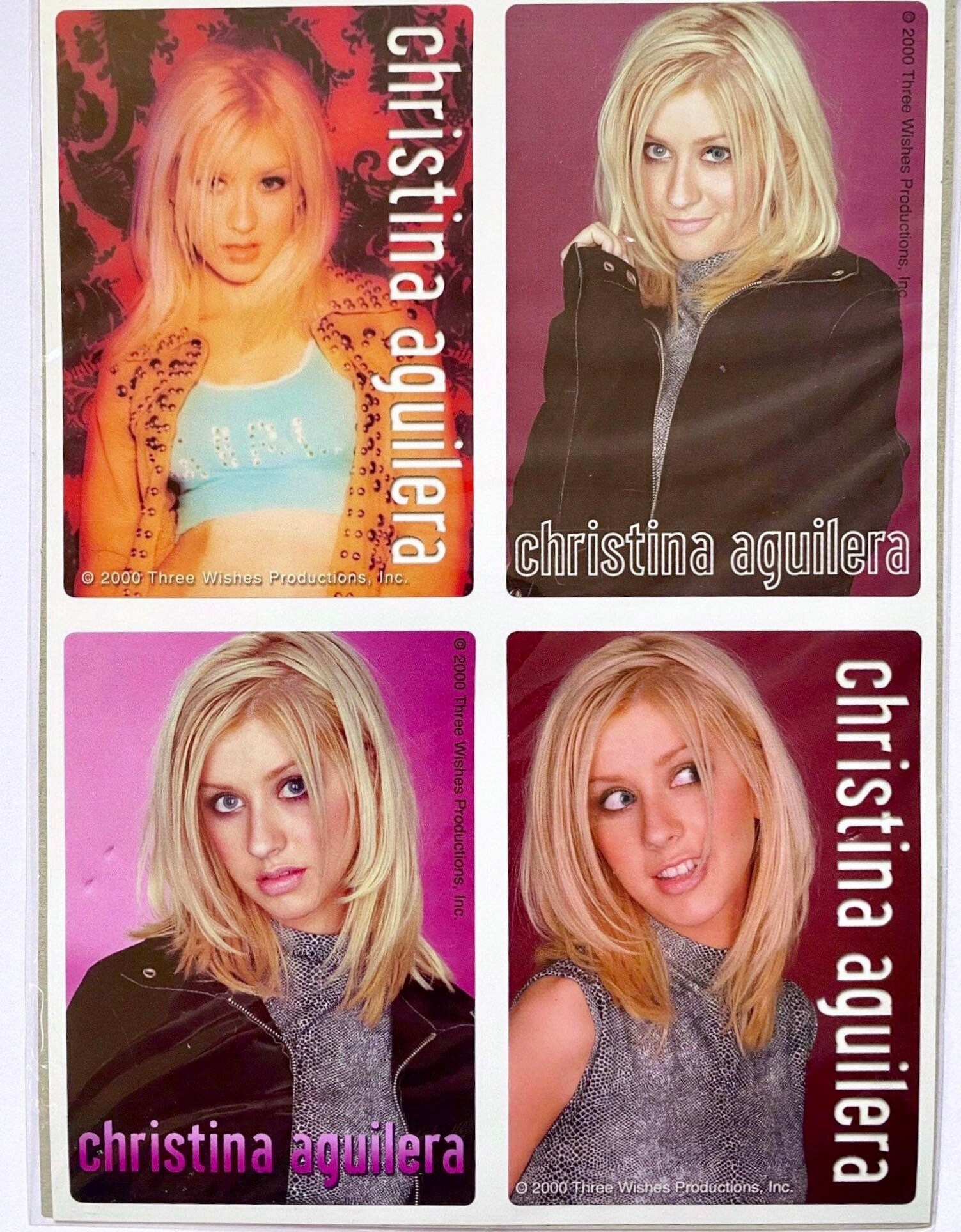 Christina Aguilera Cuff Pants