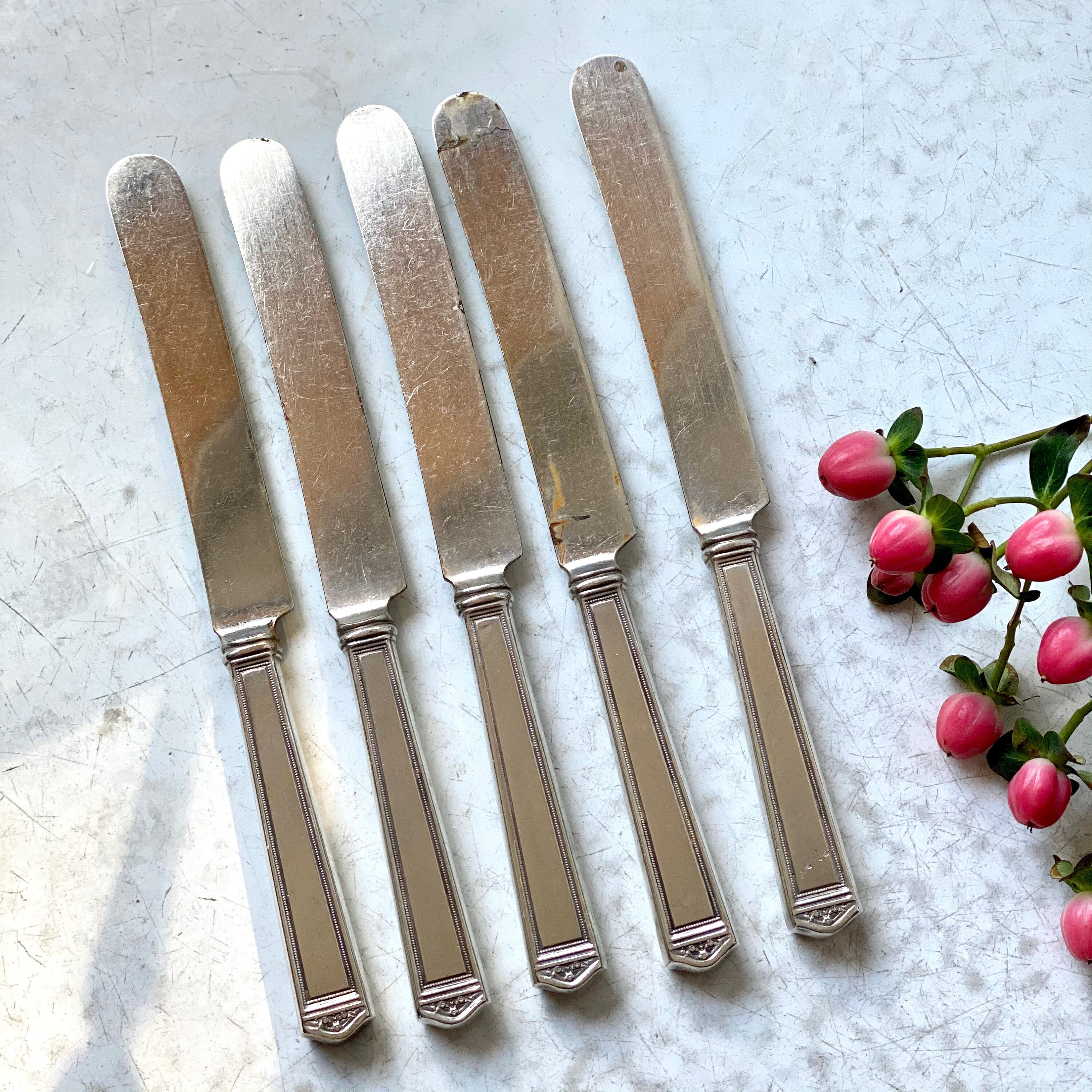 Set of 5 Vintage Butter Knives // Silverplate // Vintage Housewares ...