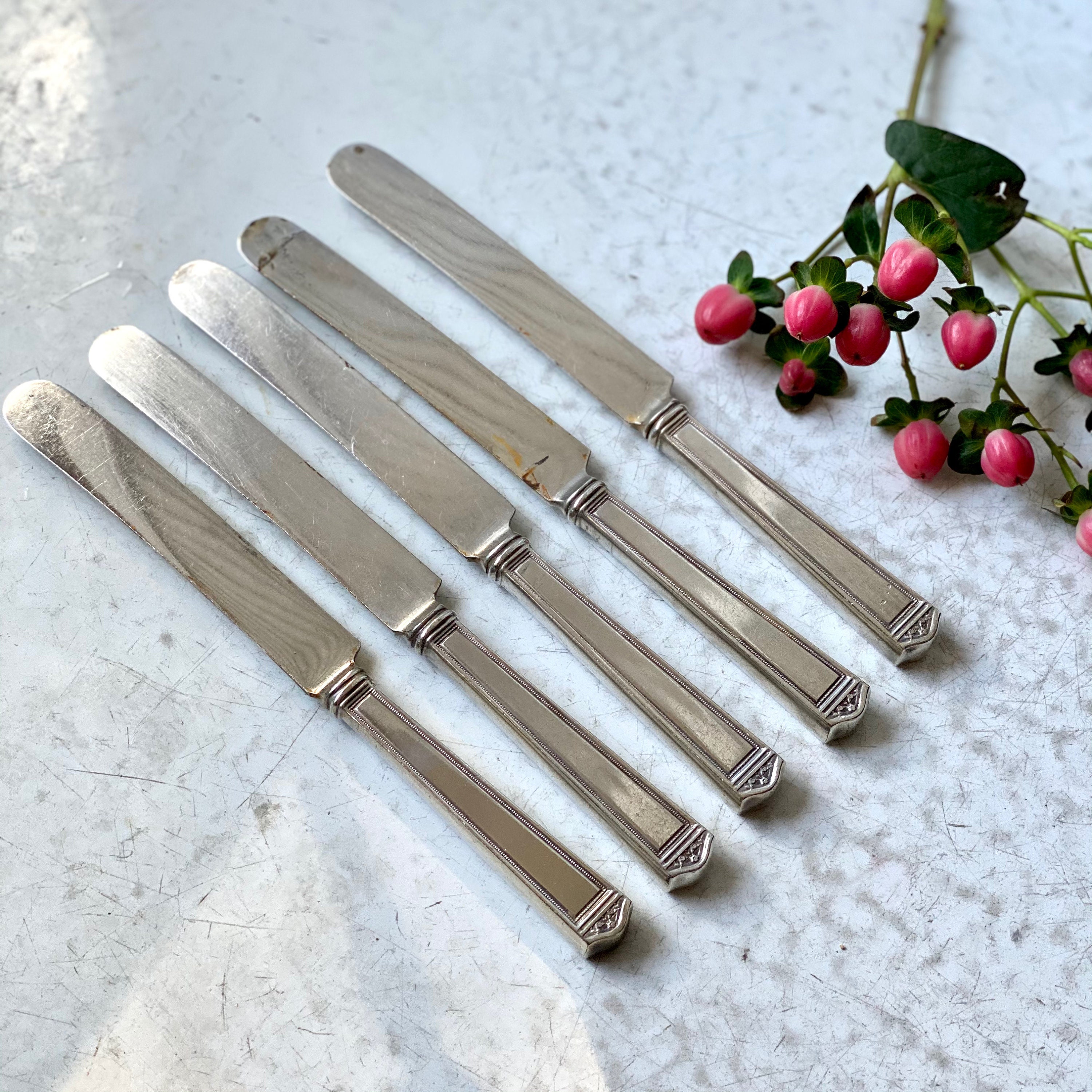 Set of 5 Vintage Butter Knives // Silverplate // Vintage Housewares ...