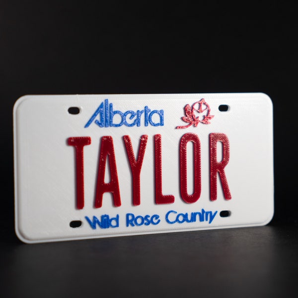 Mini License Plate - Etsy