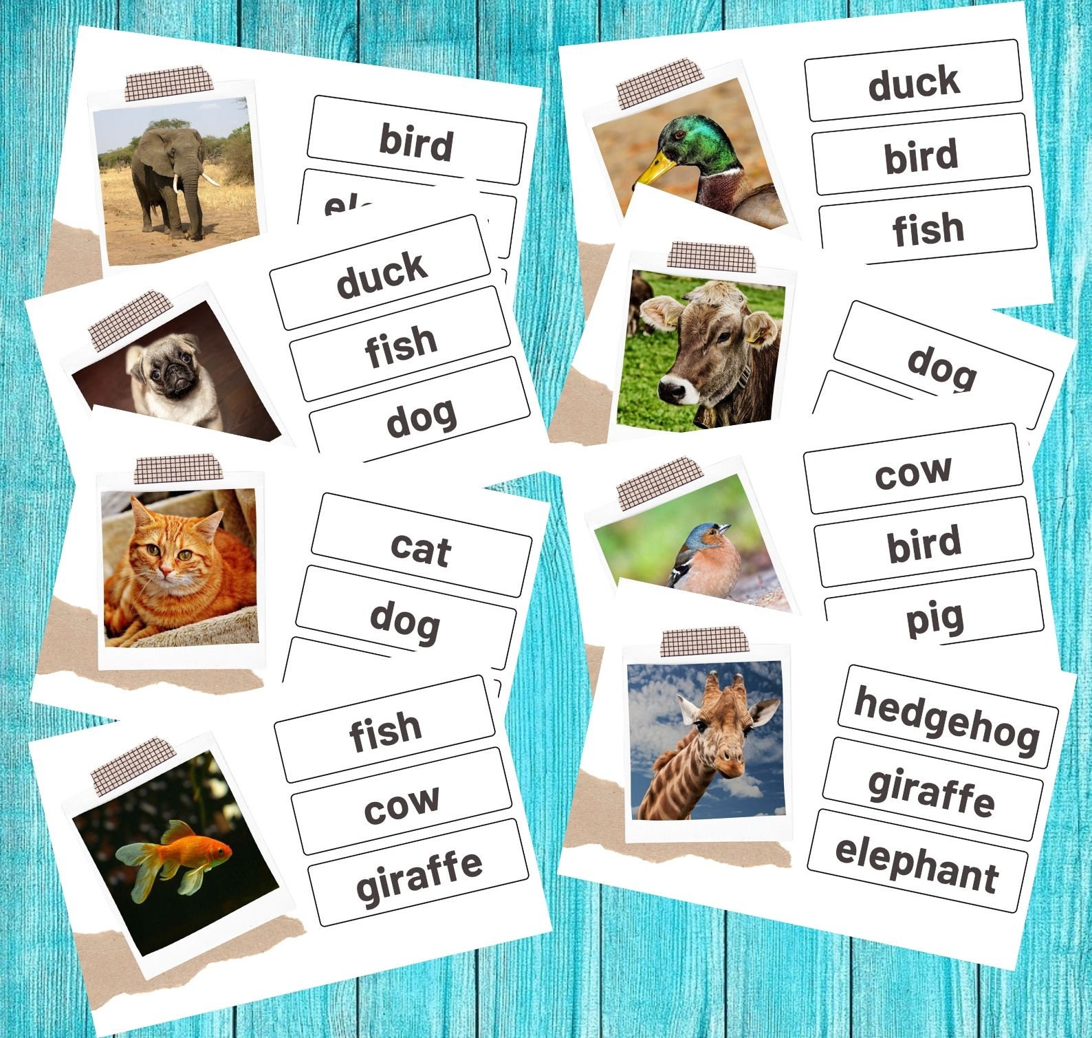 Printable Animal Sight Words Cards for Kids Build Vocabulary | Etsy