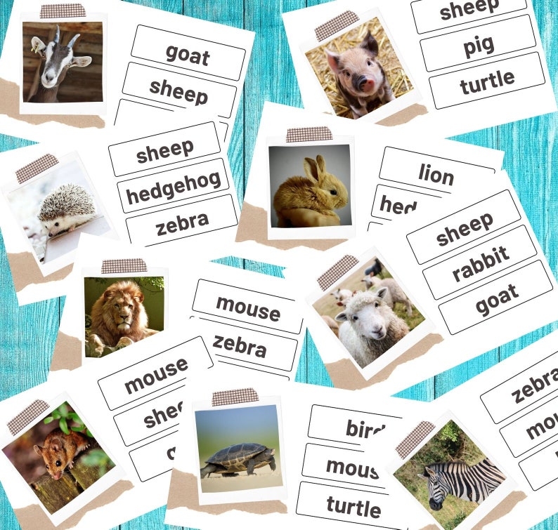 Printable Animal Sight Words Cards for Kids, Build Vocabulary, Work on ...