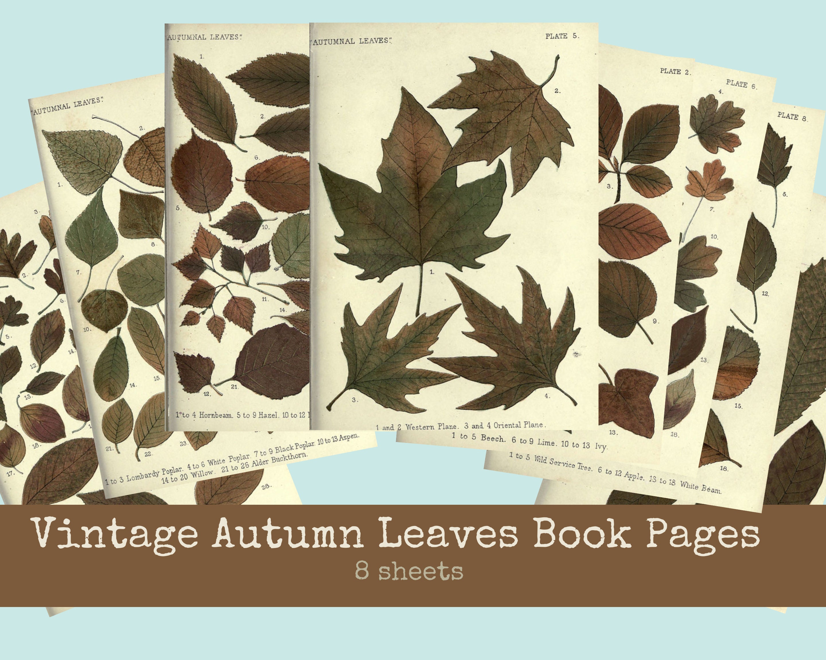 Retro Autumn Leaves