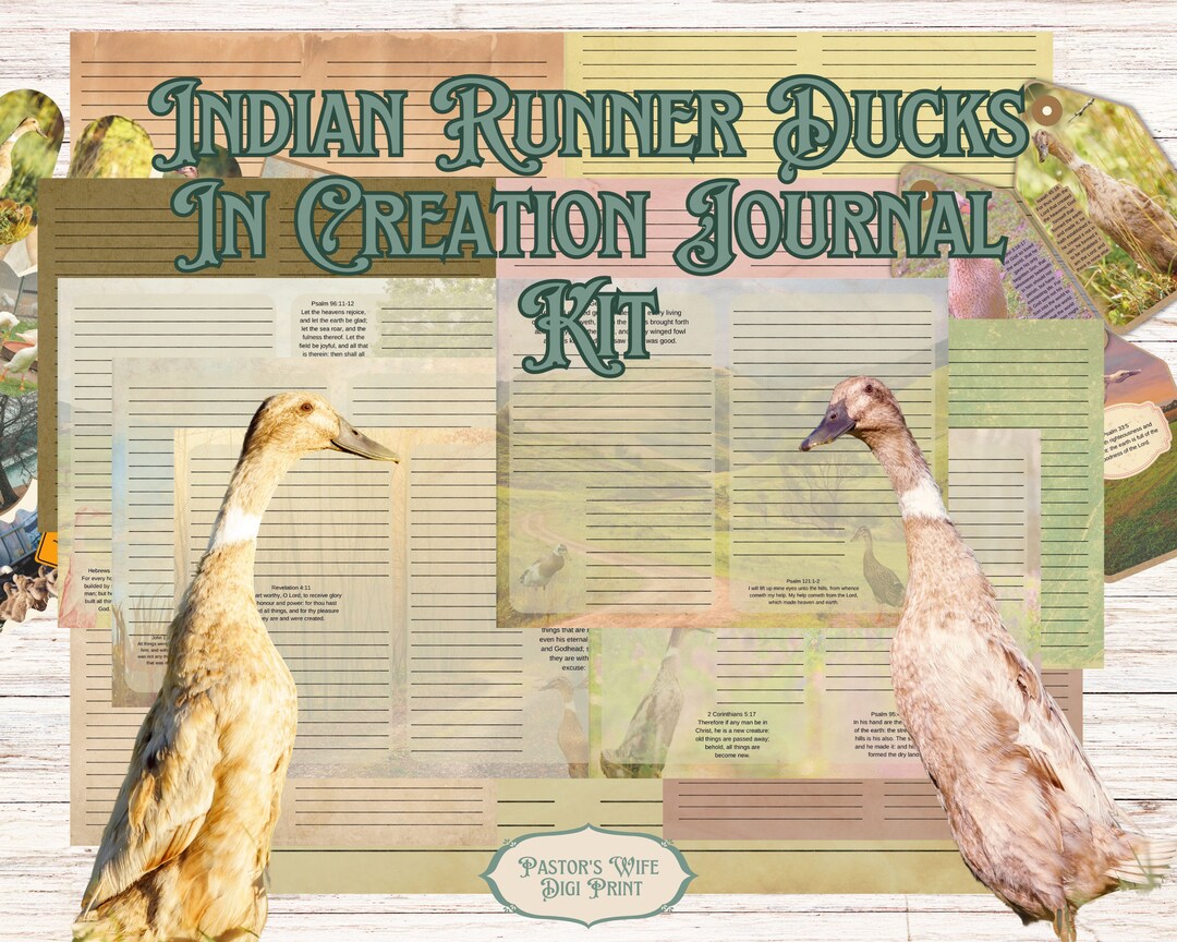 Indian Runner Ducks Journal Kit, Indian Runner Ducks Digital Journal ...