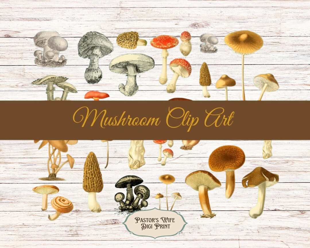Vintage Mushroom Clip Art, Printable Fungi Graphics (digital Download ...