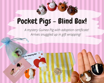 Pig Blind Box - Etsy