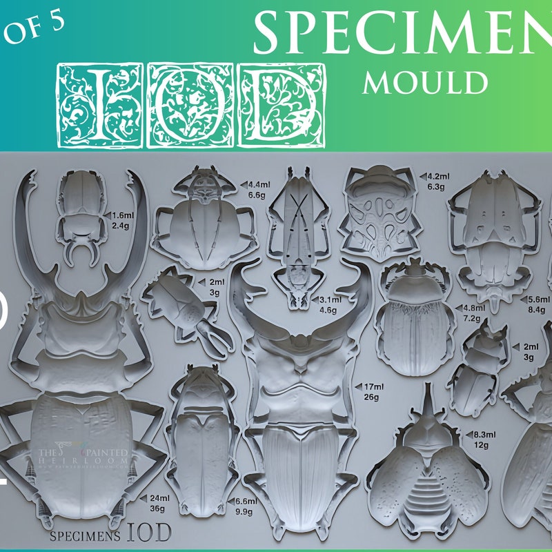 Bug Mold - Etsy