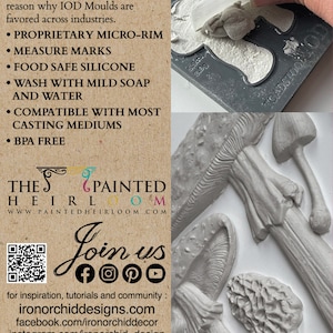 Toadstool Mould by IOD - Iron Orchid Designs - Spring 2023 Release - Etsy