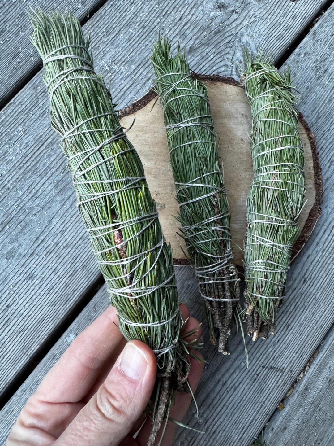 Pinus Sylvestris Stick for Smudging Ritual - Pine Smoke Stick - Etsy