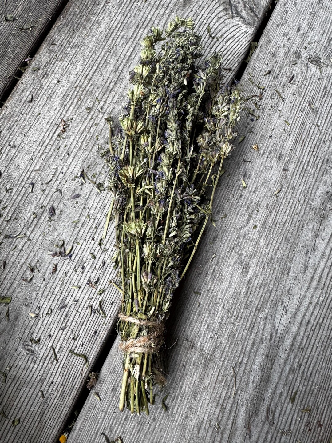 Dried Hyssopus Officinalis Bunch - Dried Herb - Etsy