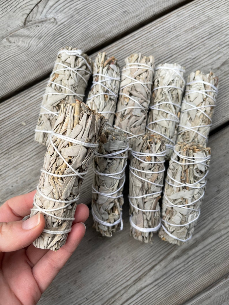 White Sage Smudging Stick Bundle 4 Inch Alternative Cleanser - Etsy