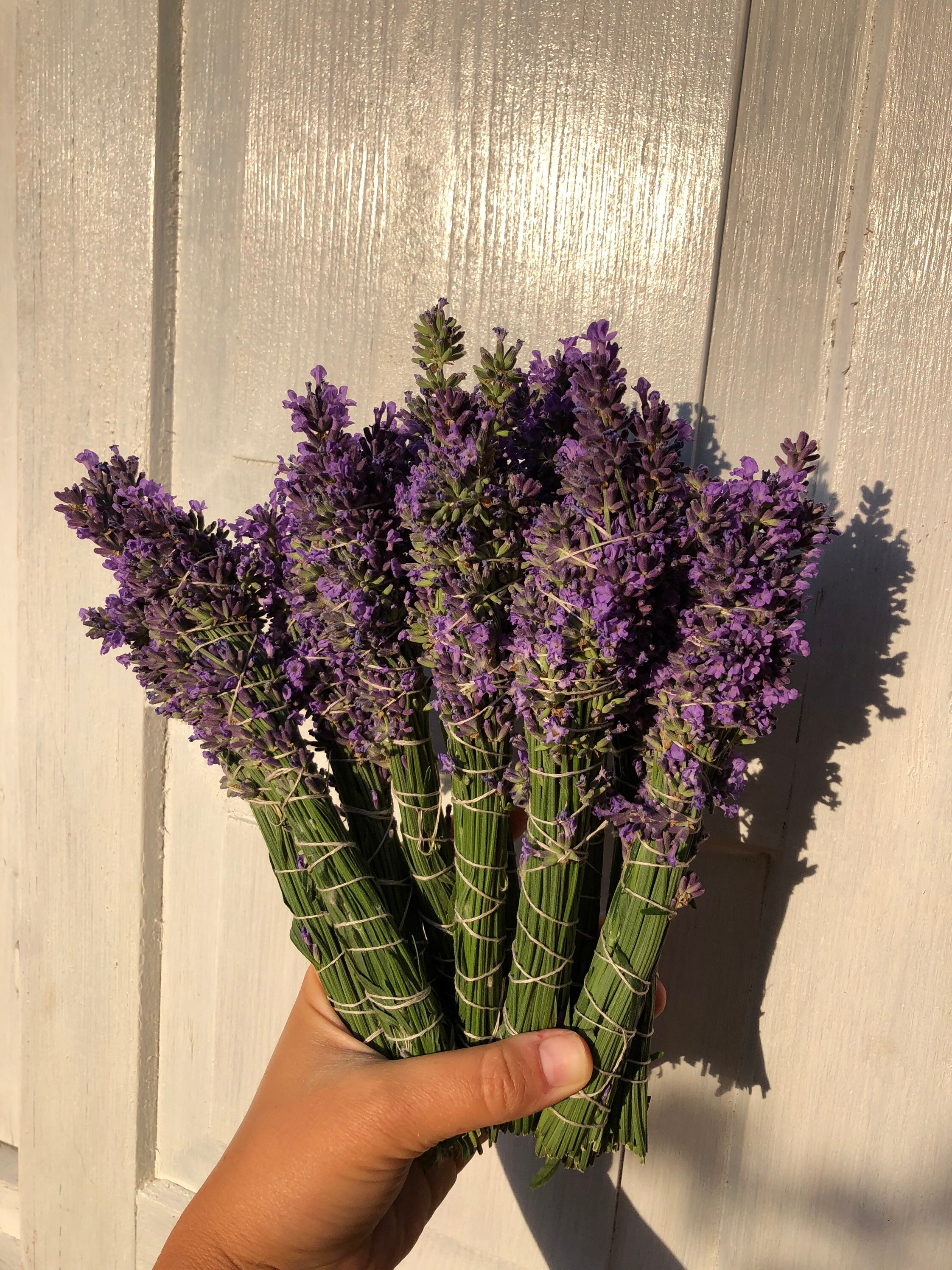 Handmade Lavender Bundle For Smudging Ritual Smudging Stick | Etsy