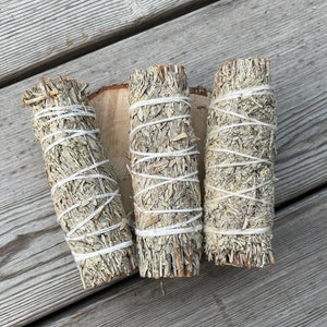 Blue Sage Smudging Stick 4 Inch - Alternative Cleanser - Rituals ...