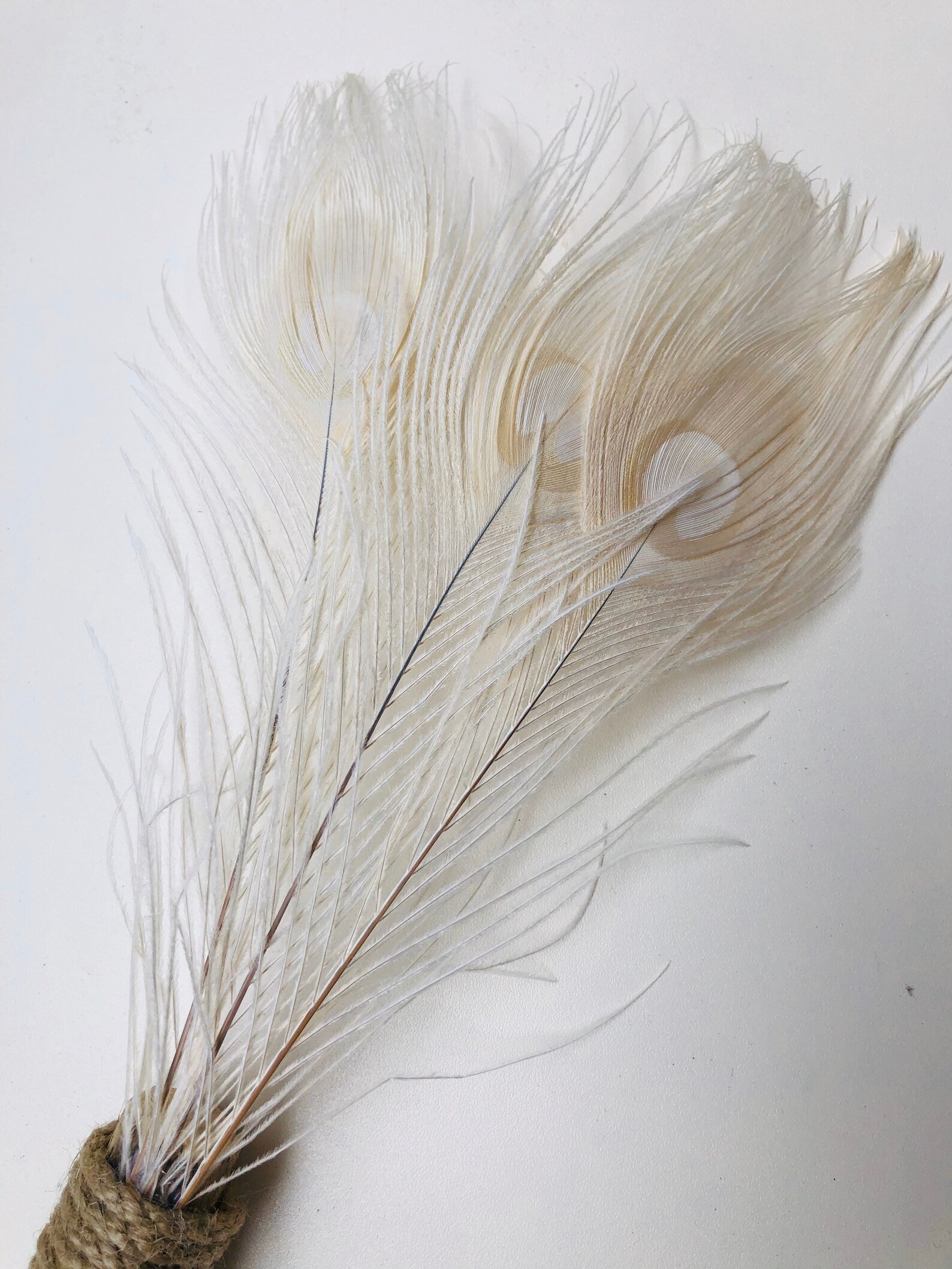 White Smudging Feather Fan Spiritual Ritual Shaman Tool Smudge | Etsy