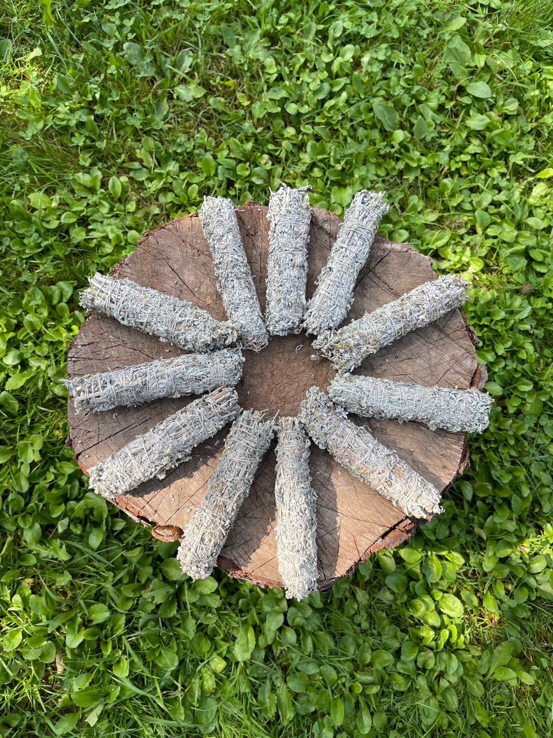 Wormwood Dried Smudging Stick Stick Alternative Cleanser Anti Parasitic ...