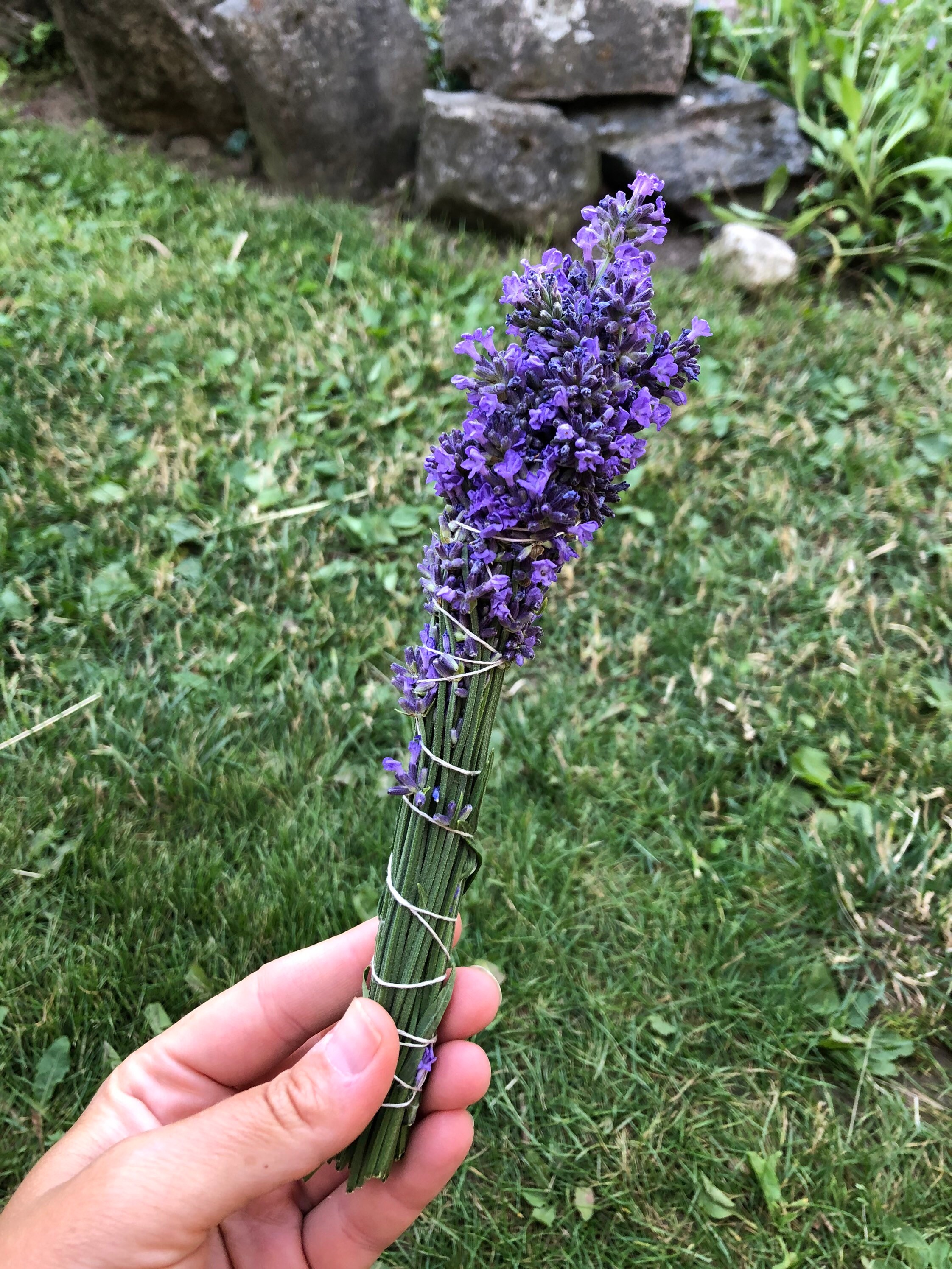 Handmade Lavender Bundle For Smudging Ritual Smudging Stick | Etsy