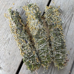 Handmade Wormwood and Hyssop Smudge Stick – Herbal Incense - Etsy