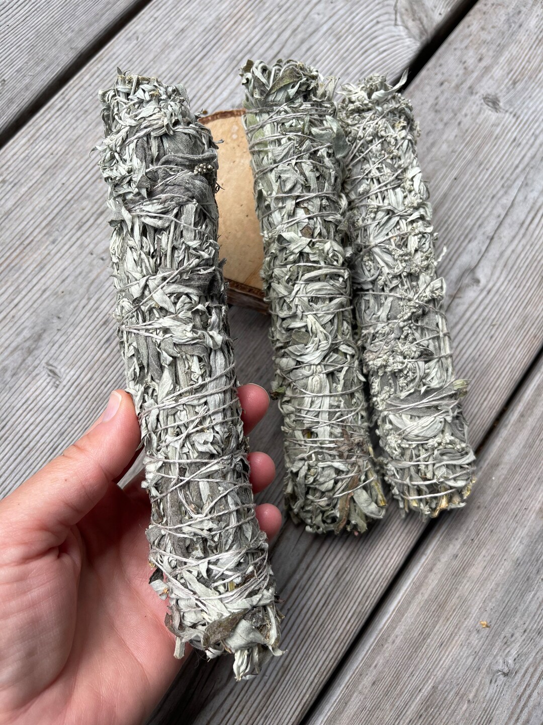 Artemisia Ludoviciana Smudging Stick - Silver Sage Natural Incense ...