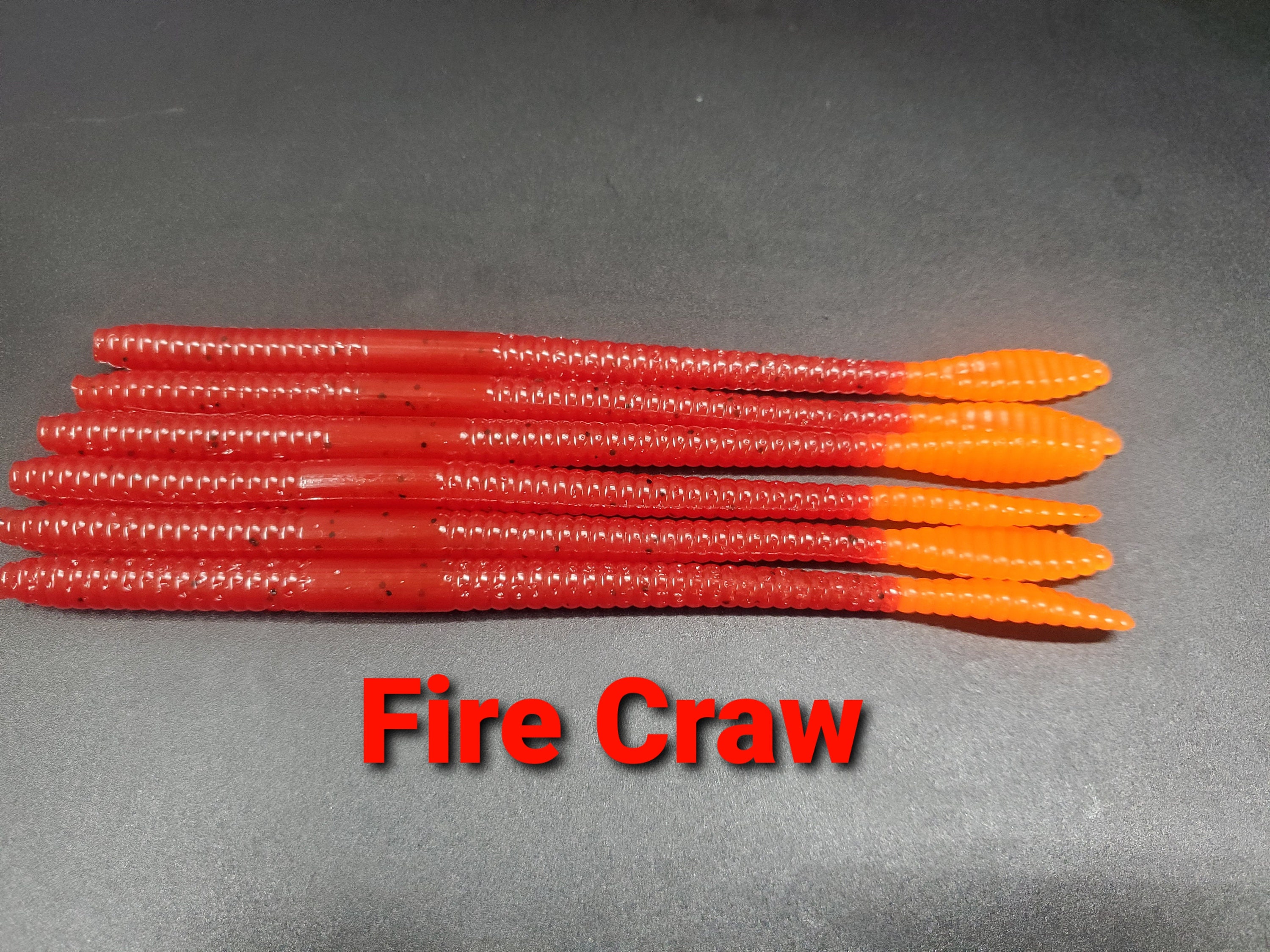 6" Trick Worms 12 Pack (9) Colors - Etsy