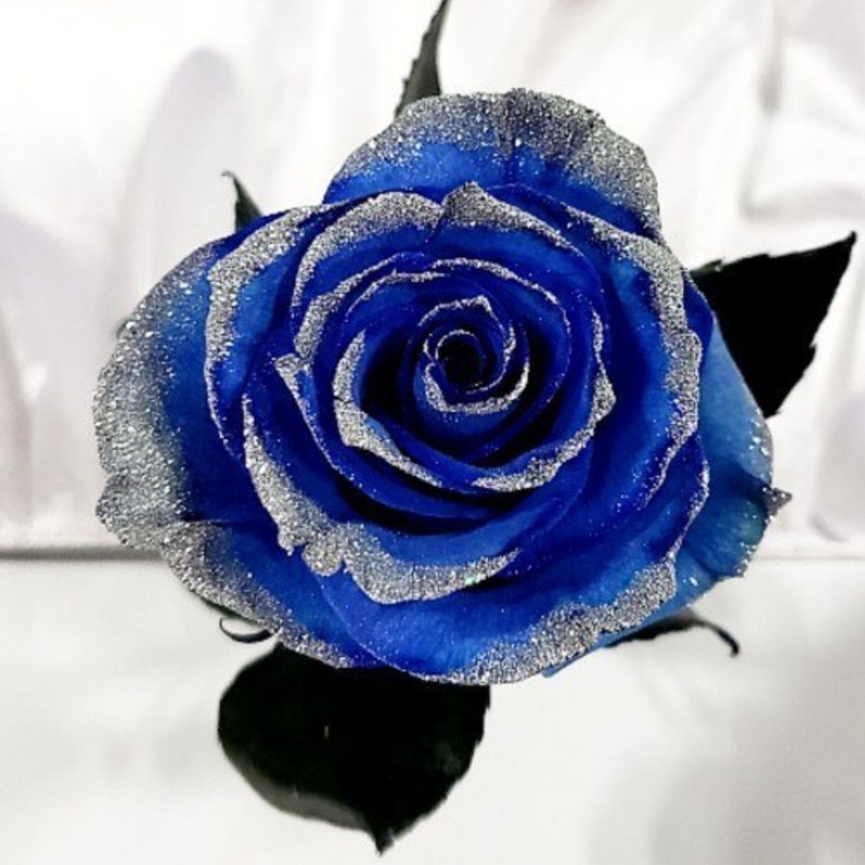 Long Stem Tinted Blue Roses With Silver Glitter - Blue Roses, Blue ...