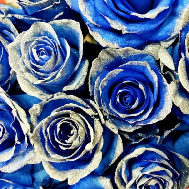 Long Stem Tinted Blue Roses With Silver Glitter - Blue Roses, Blue ...