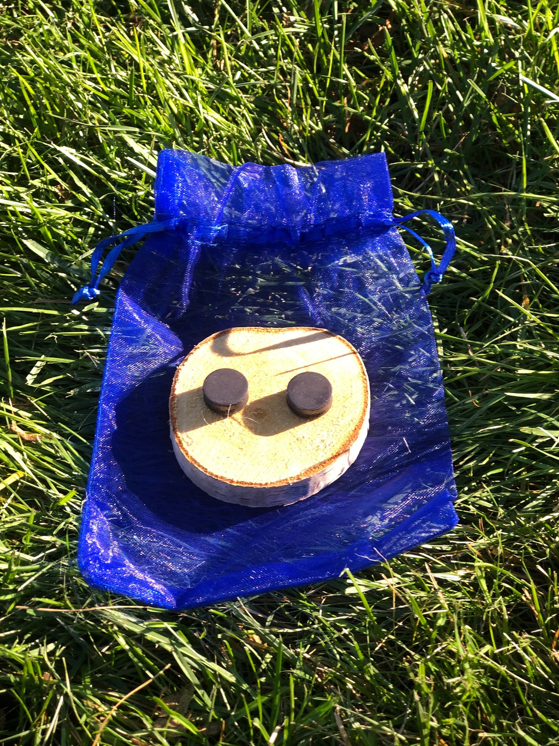 Aesthetic Bunny Magnet - Etsy