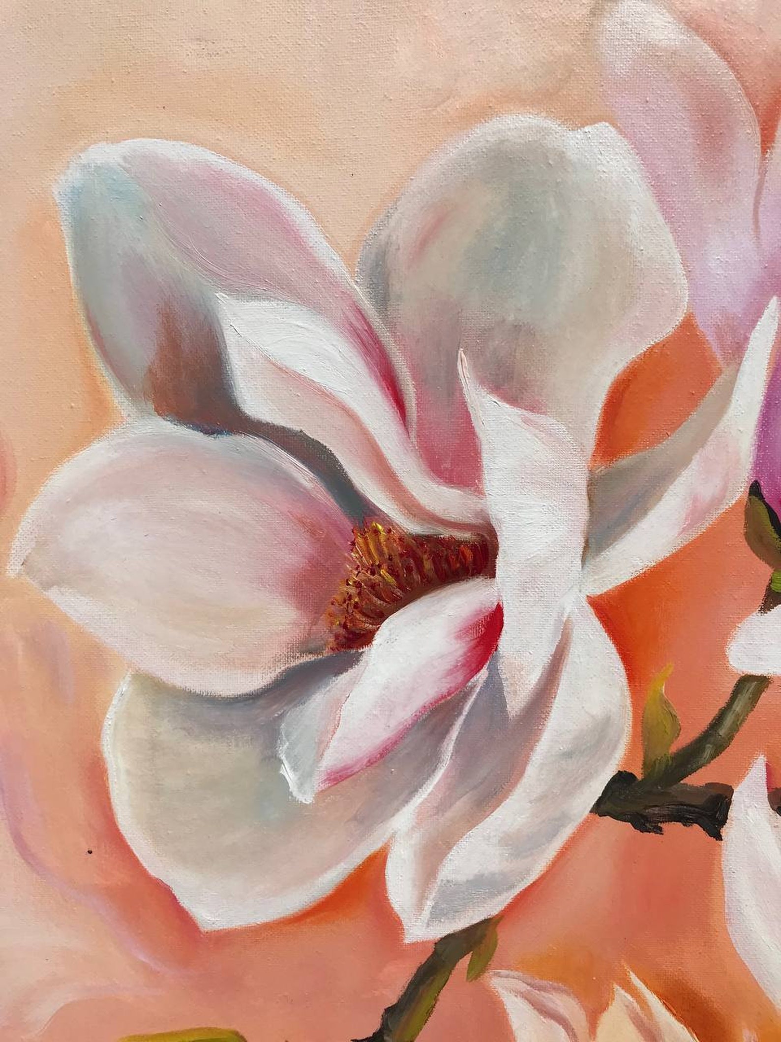 Magnolias on a Peach Background. Size 80*100cm - Etsy