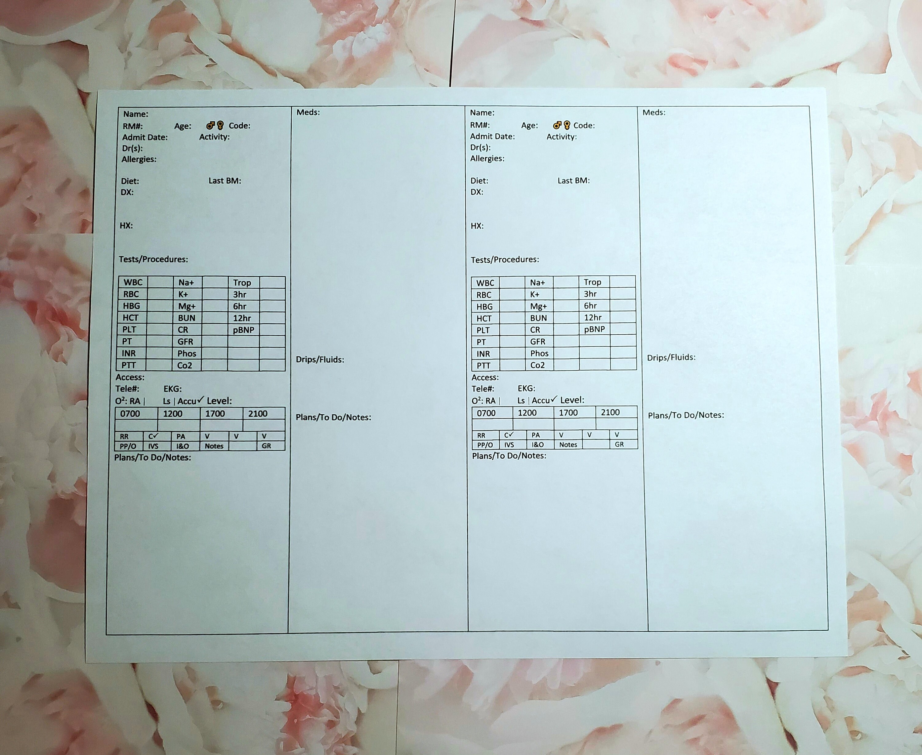 Printable Nursing Report Sheet Two Patients #1 - Etsy