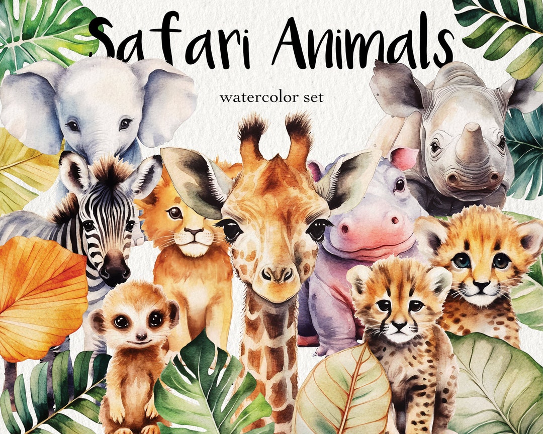 Watercolor Safari Baby Animals Clipart Set, Nursery Decor, Baby Shower ...