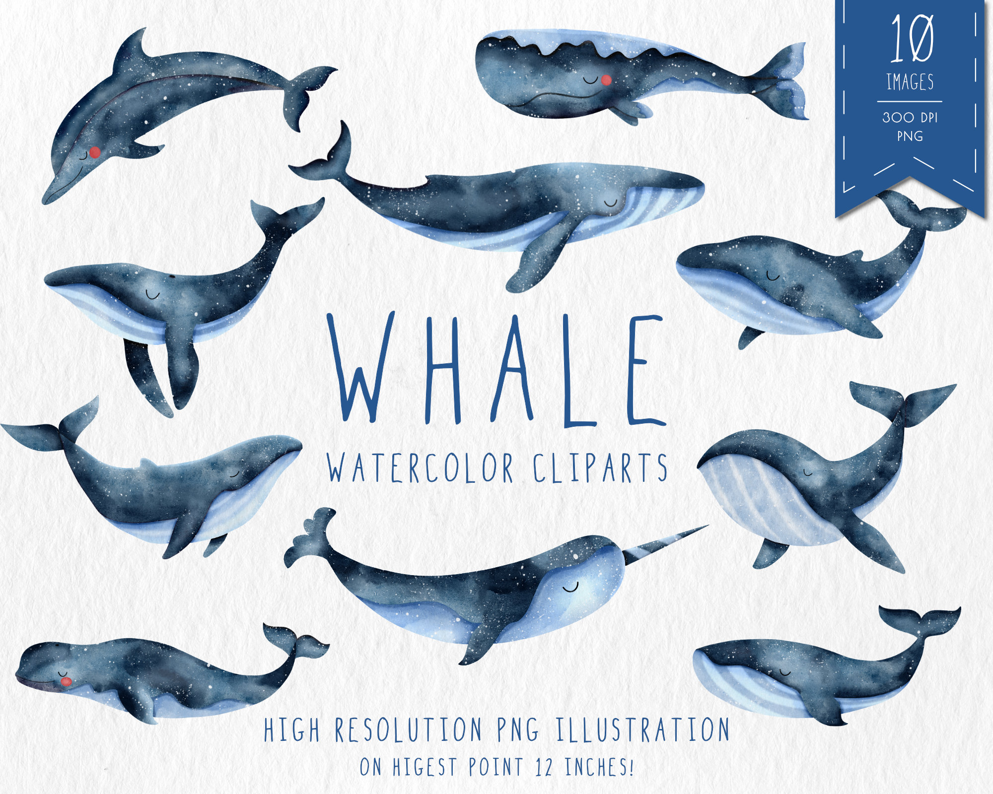 Watercolor Whale Clipart Whale Clipart Watercolor Sea - Etsy
