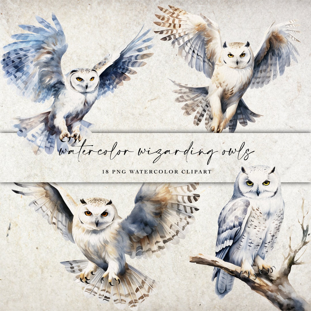 Watercolor Wizarding Owls, Magic Owls, White Owls Watercolor Clipart ...