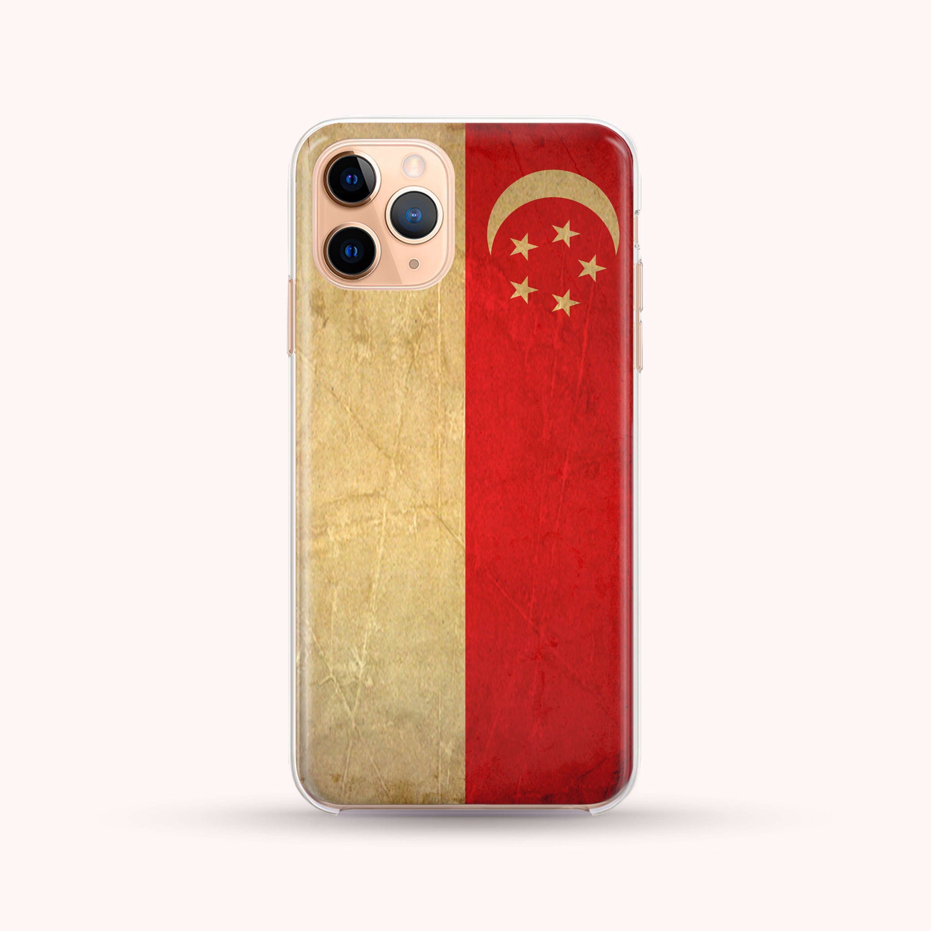 Designer Strips IPhone 12 Pro Max Back Case Cover