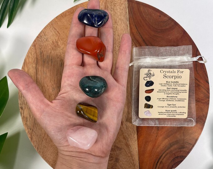 LEO Crystal Set 5x Crystals Set for LEO hematite Amethyst | Etsy