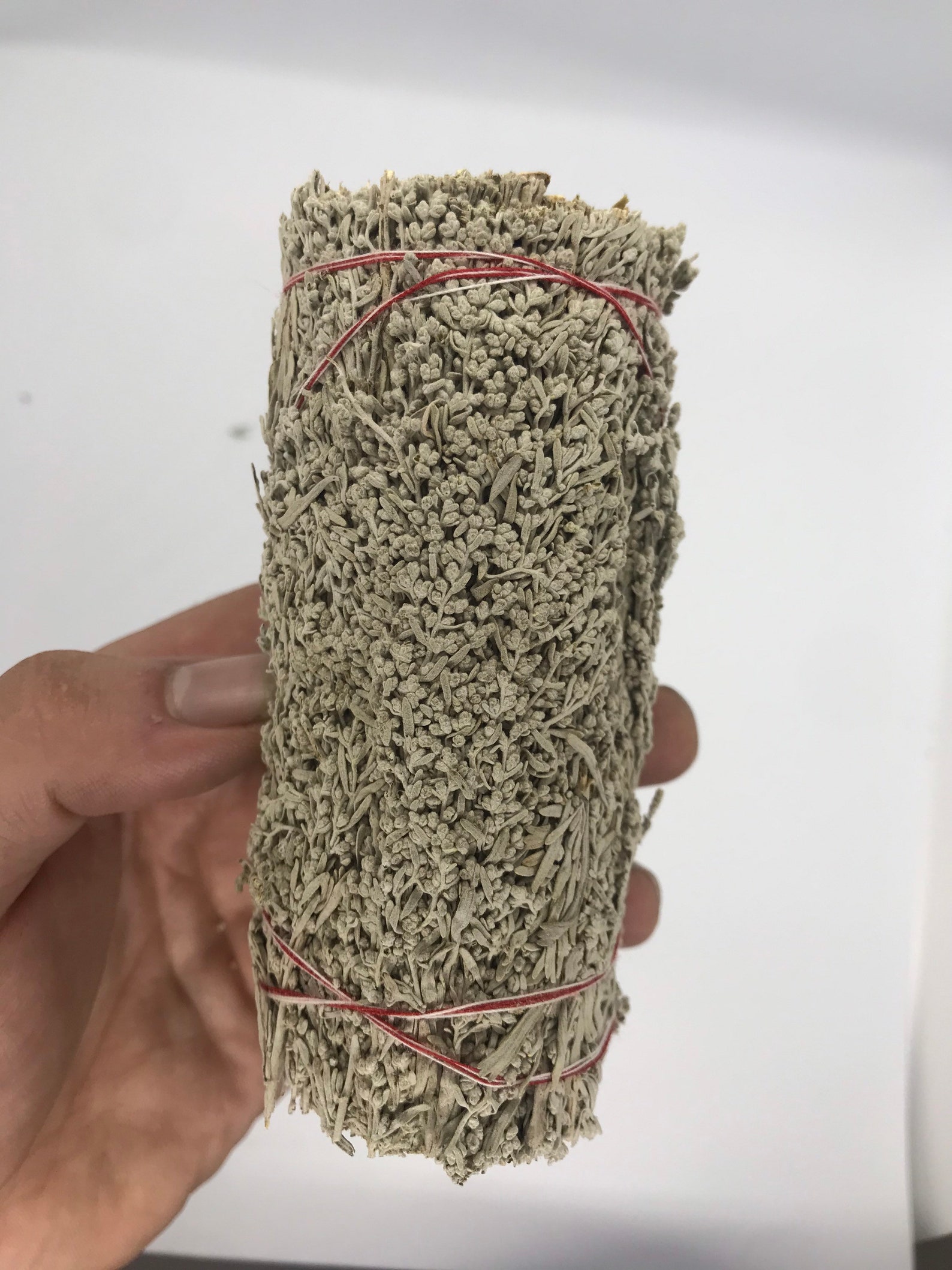 ORGANIC Wholesale BLUE Sage Smudge Sticks,2in Diameter, 4 in or 9 in ...