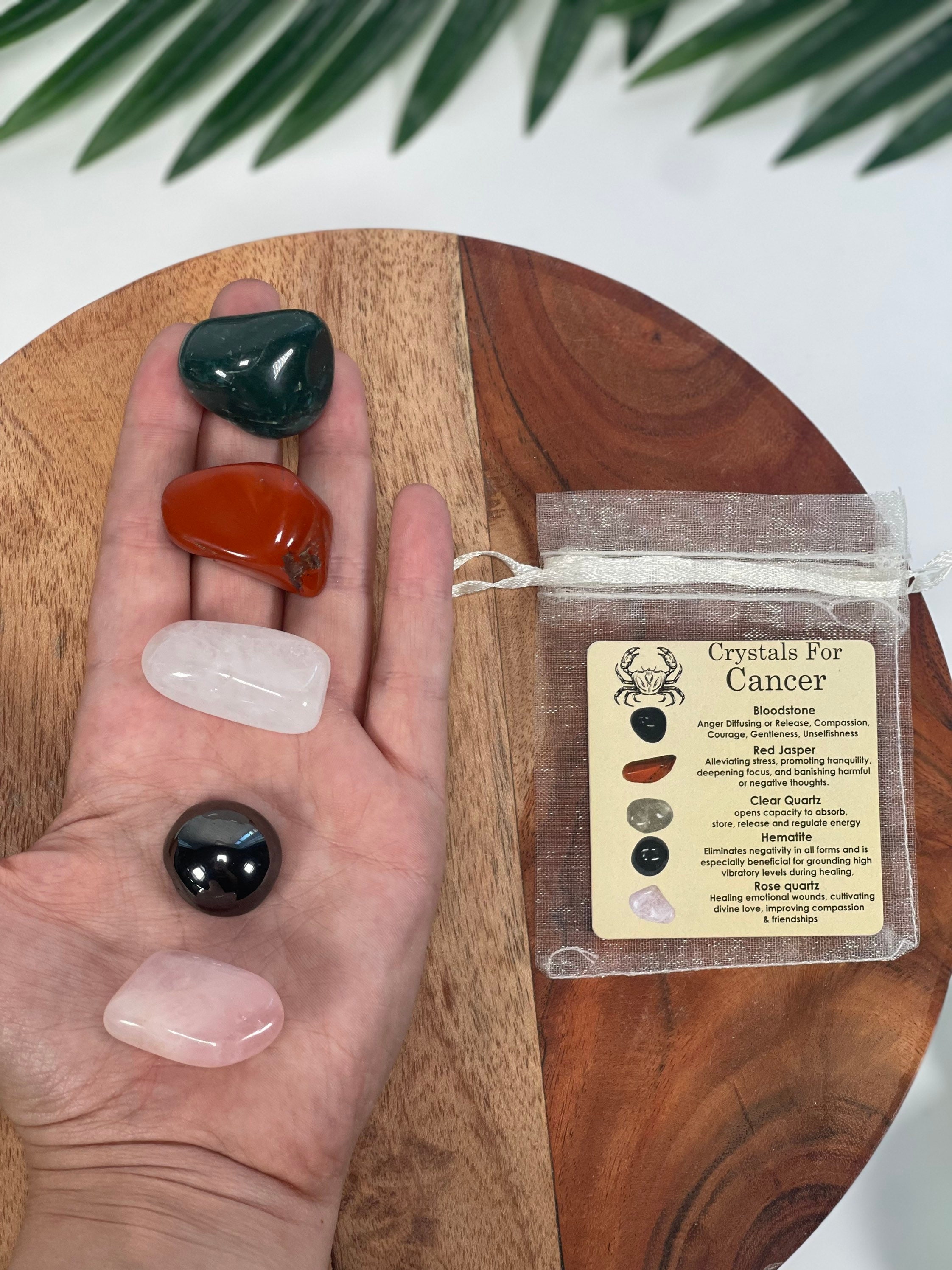 CANCER Crystal Set, 5x Crystals Set for CANCER (bloodstone, Red Jasper ...