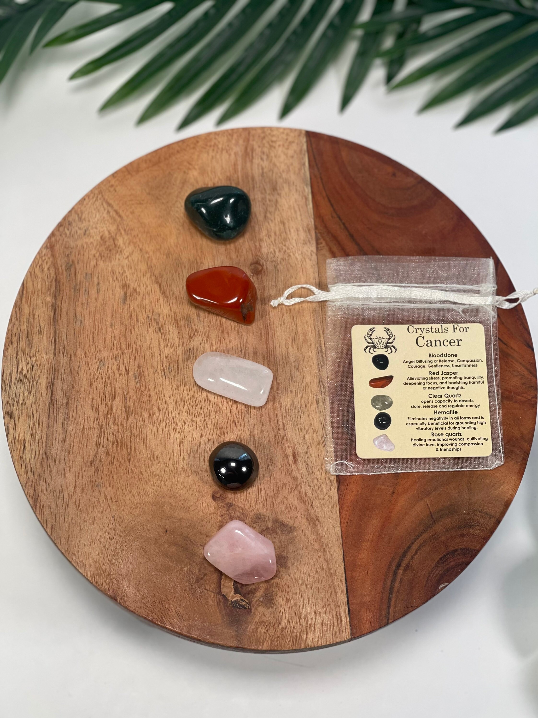 CANCER Crystal Set, 5x Crystals Set for CANCER (bloodstone, Red Jasper ...
