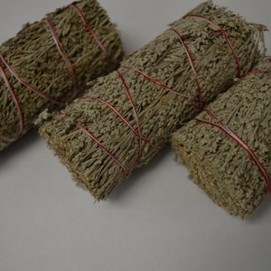 ORGANIC Wholesale BLUE Sage Smudge Sticks,2in Diameter, 4 in or 9 in ...